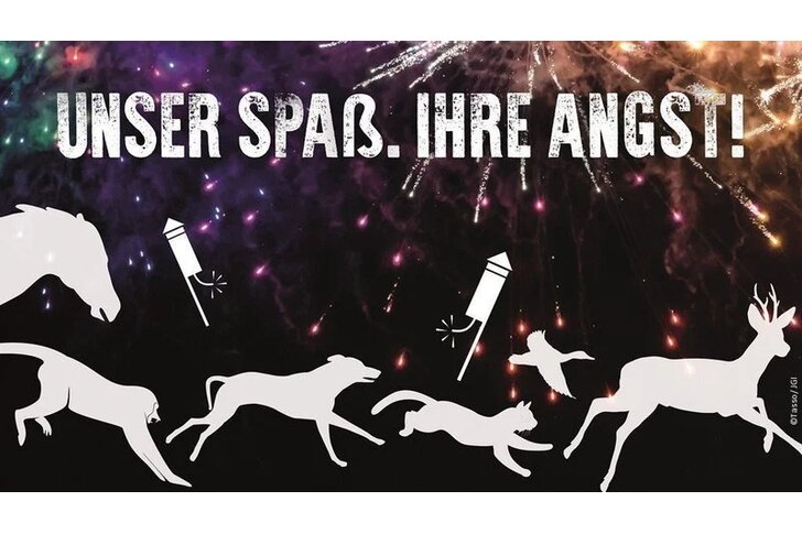 Bitte Macht Kein Feuerwerk, Die Tiere Leiden Und Sind In – DRUYBO