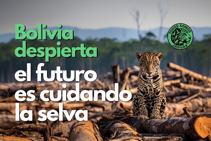News: ¡YA BASTA! Nuestros bosques arden, los ríos envenenados con ...